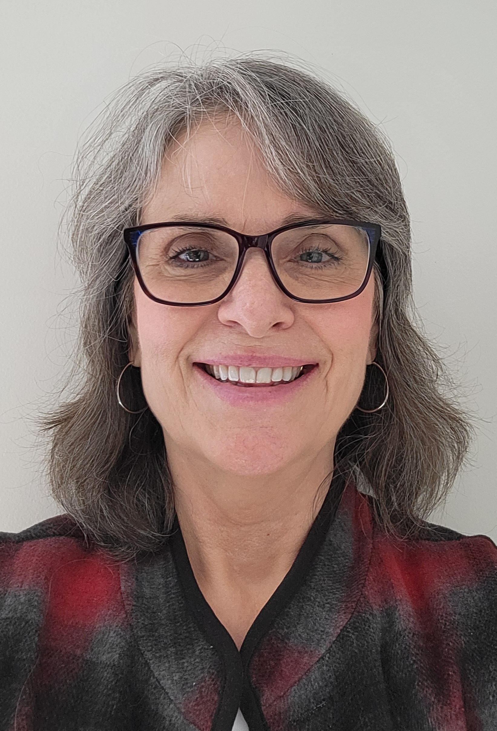 Three vying for County Commission seat | News, Sports, Jobs - The ...